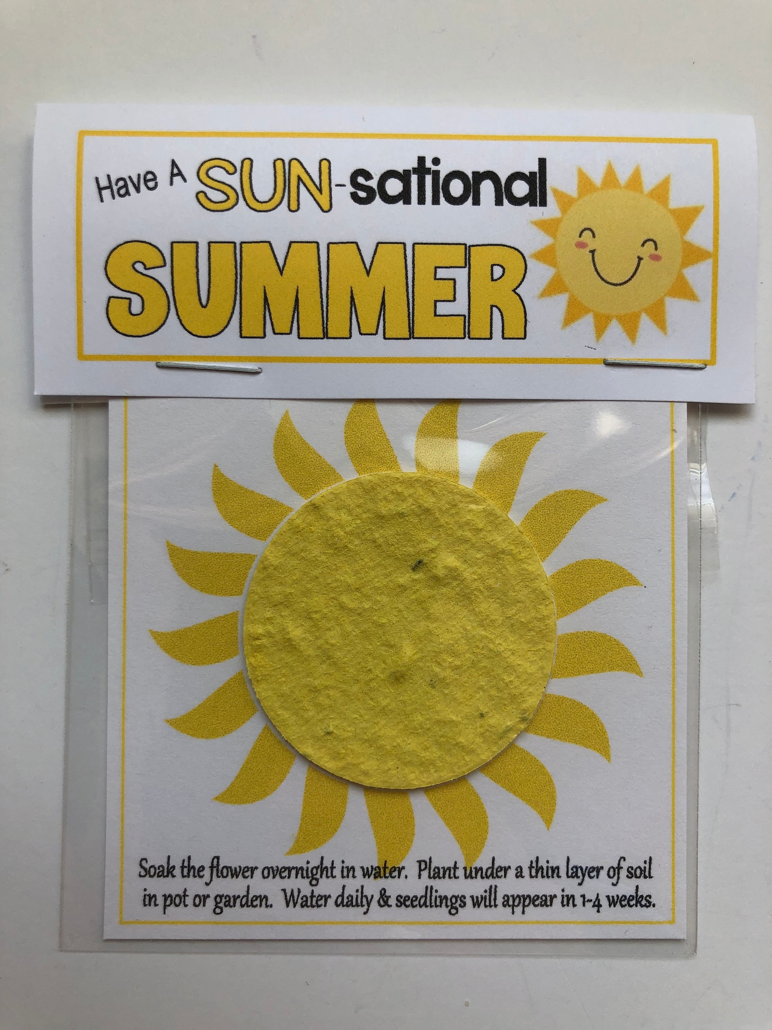 Have a Sun-sational Summer or Sending SUNSHINE teacher Gifts - Etsy