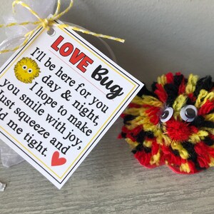 LOVE BUG- Sweet Thoughts Gift Bag, Kids, Children, Anxiety, Calming ...