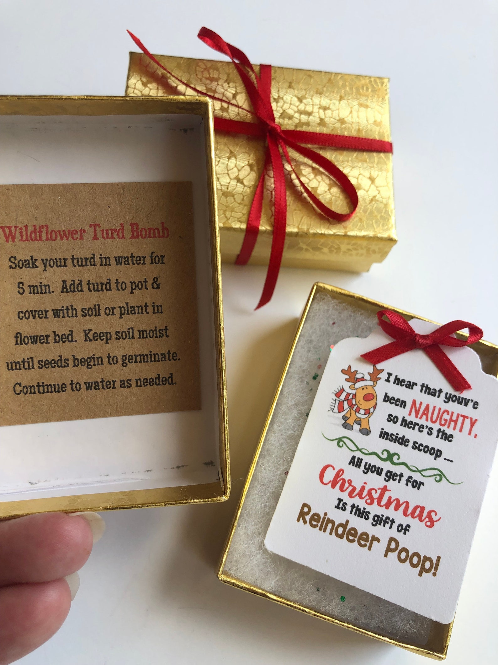 REINDEER POOP Wildflower TURD Bomb Plantable Recycled - Etsy