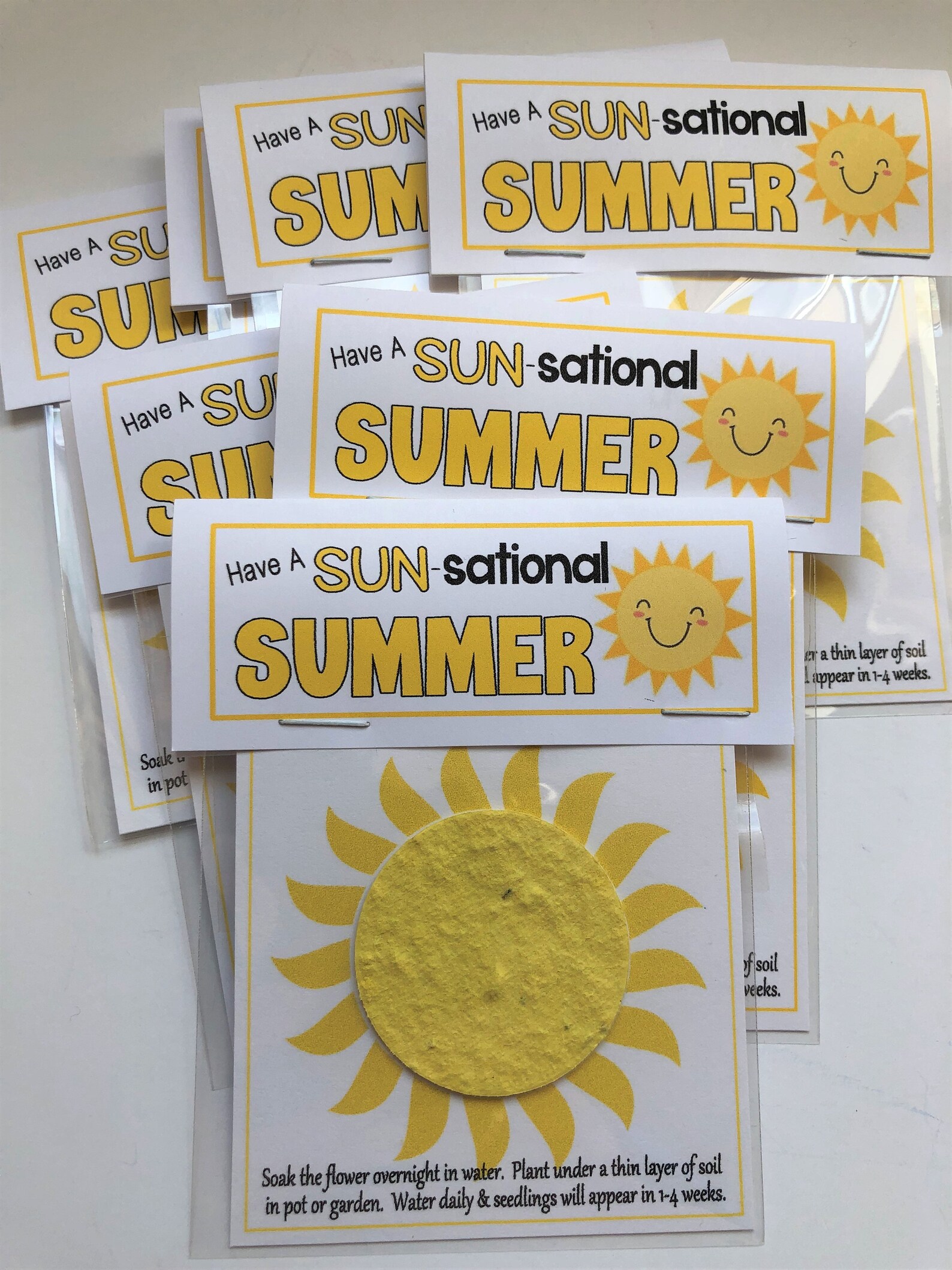 Have a Sun-sational Summer or Sending SUNSHINE teacher Gifts - Etsy