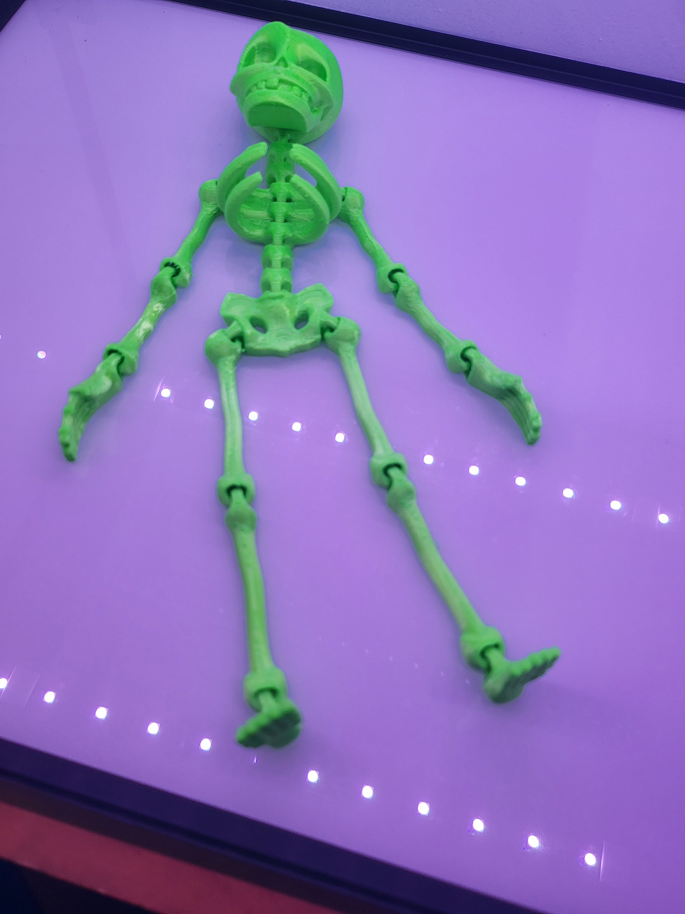3D Printed Articulated Skeleton 8" - Etsy
