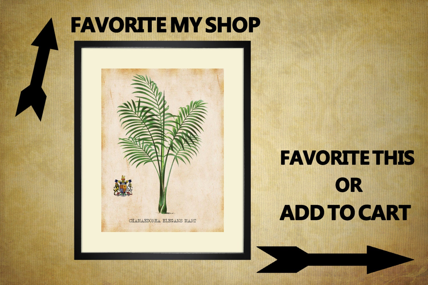 Antique Palm Tree Art Prints Set For You To Print 8 x | Etsy