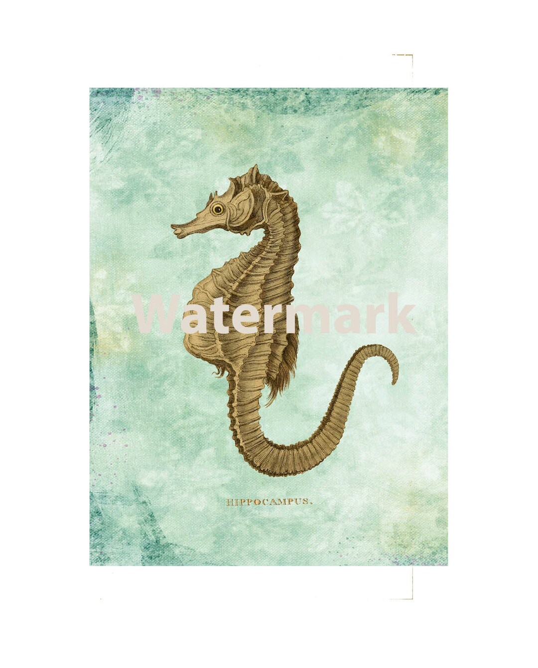 Instant Download Seahorse Digital Print for 8 1/2" X 11" Paper Sized to ...