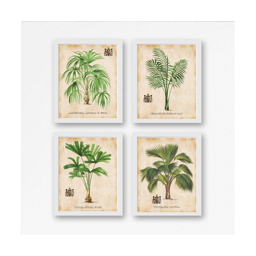 Tropical Palm Tree Art Prints Set for You to Print 7.5" X 9.5" for ...