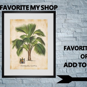 Palm Tree Art Print for You to Print 8" X 10" & 11" X 14" Antique ...