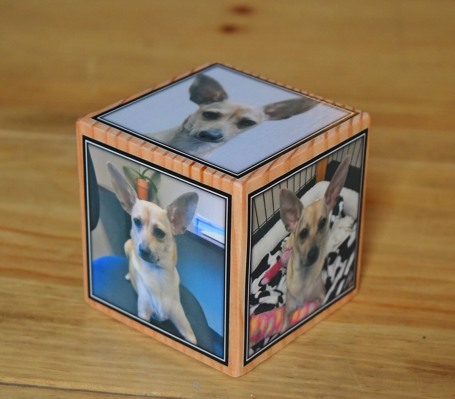 Customized Photo Cubes. We Take Your Photos Turn Them Into - Etsy