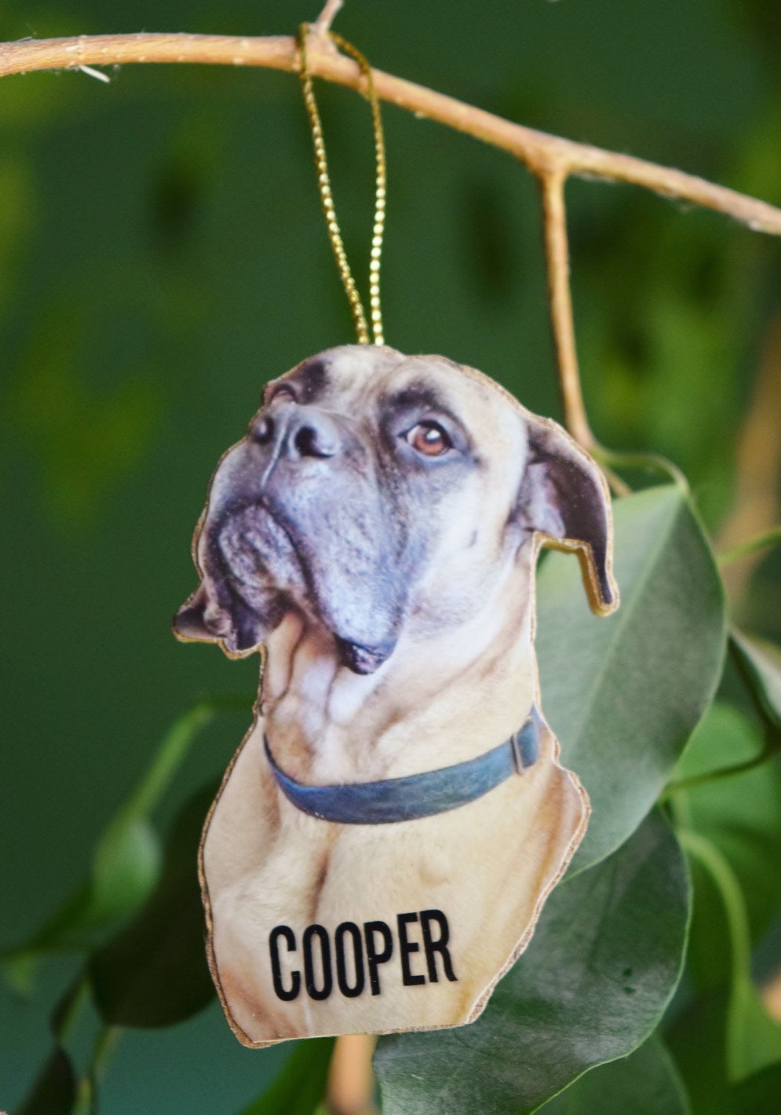 Custom Pet Portrait Personalized Pet Figurines and Keepsakes | Etsy