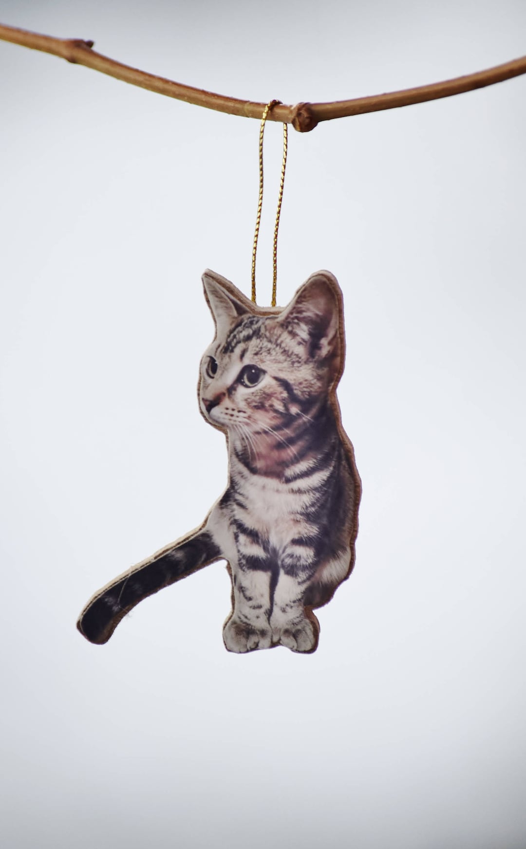 Cat Christmas Ornament Personalized Pet Figurines & Keepsakes, This is ...