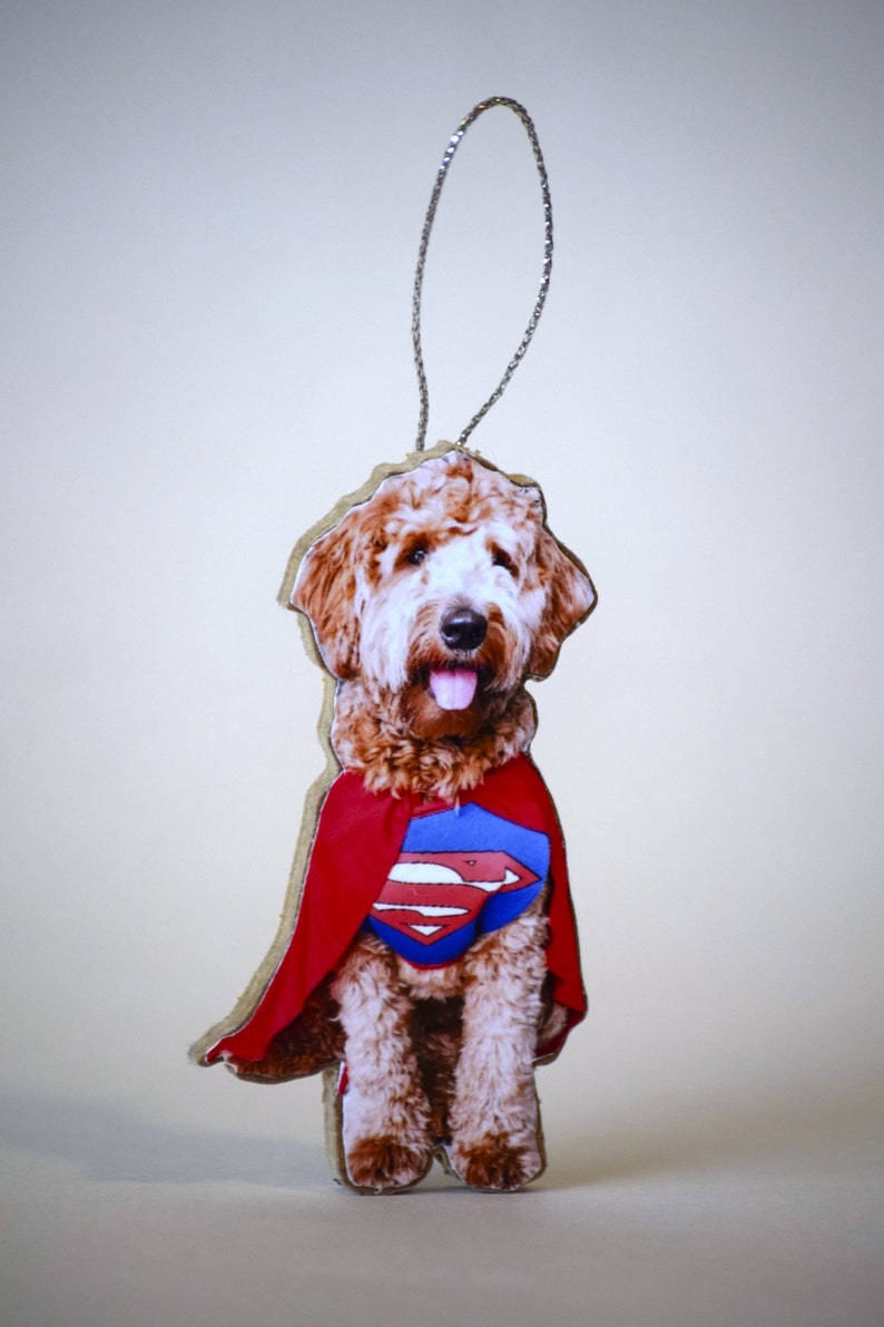 Dog Keychain. Photo Keychain. Pet Chain. Personalized Photo - Etsy