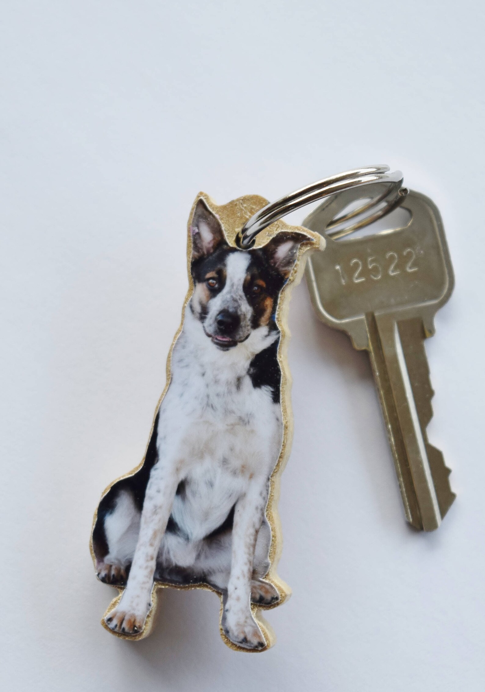 Dog Keychain. Photo Keychain. Pet Chain. Personalized Photo | Etsy
