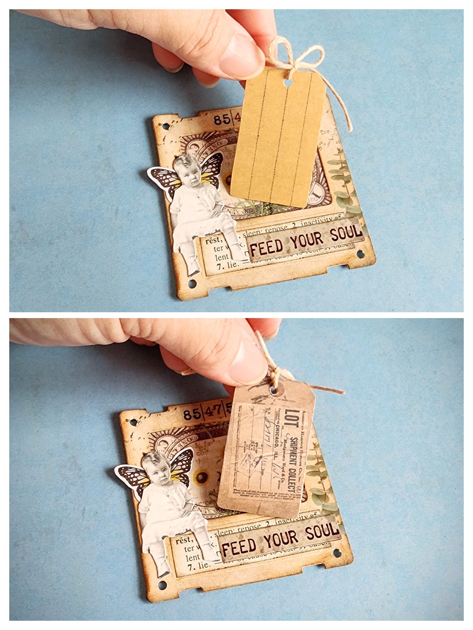 Blank Cardstock Specimen Slides Pack in Neutral Colors 6 Pcs for Paper ...