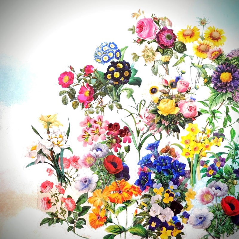 Flower Sticker - Etsy