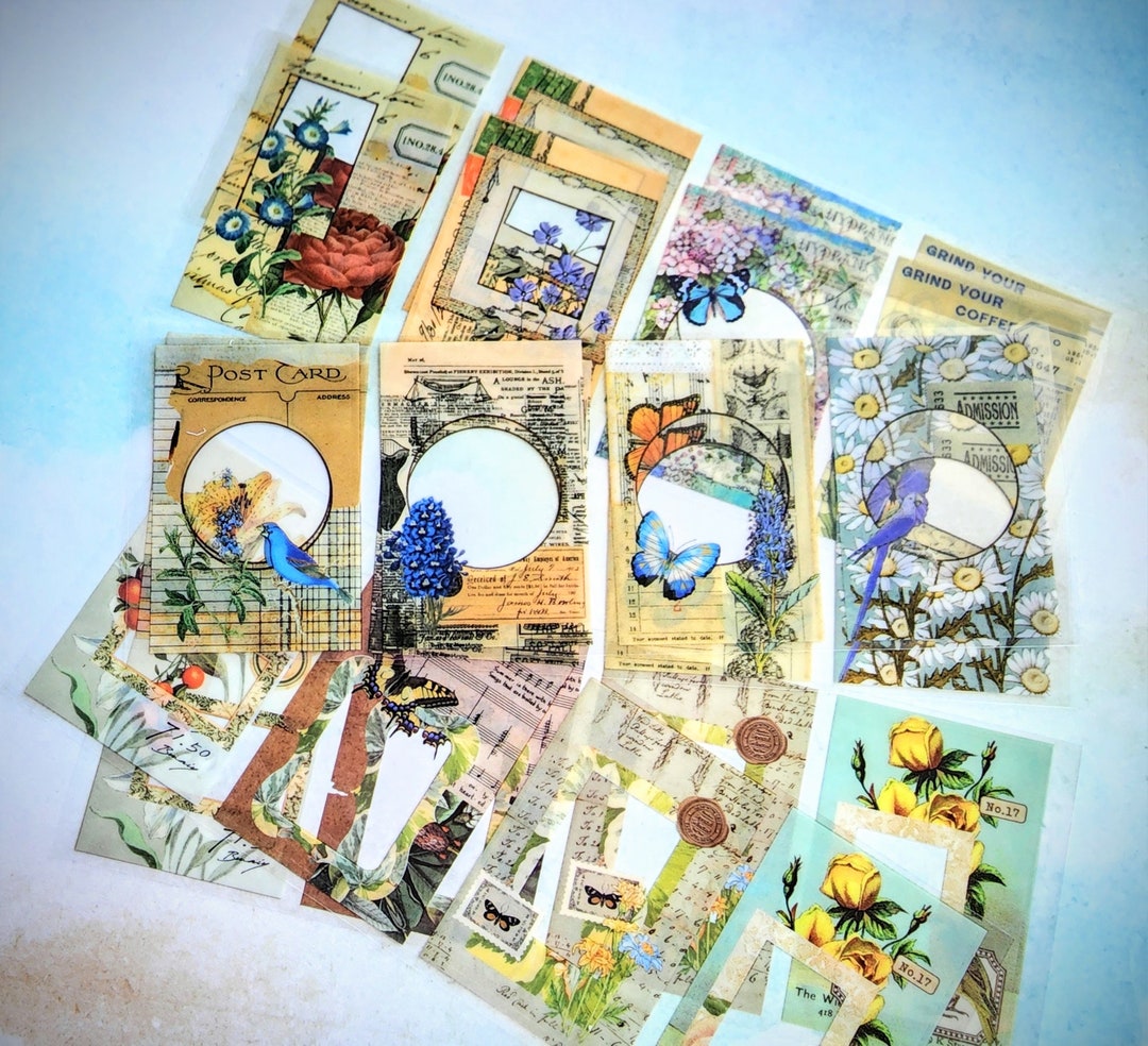 Transparent Plastic Collage Style Frames With Botanicals Birds ...