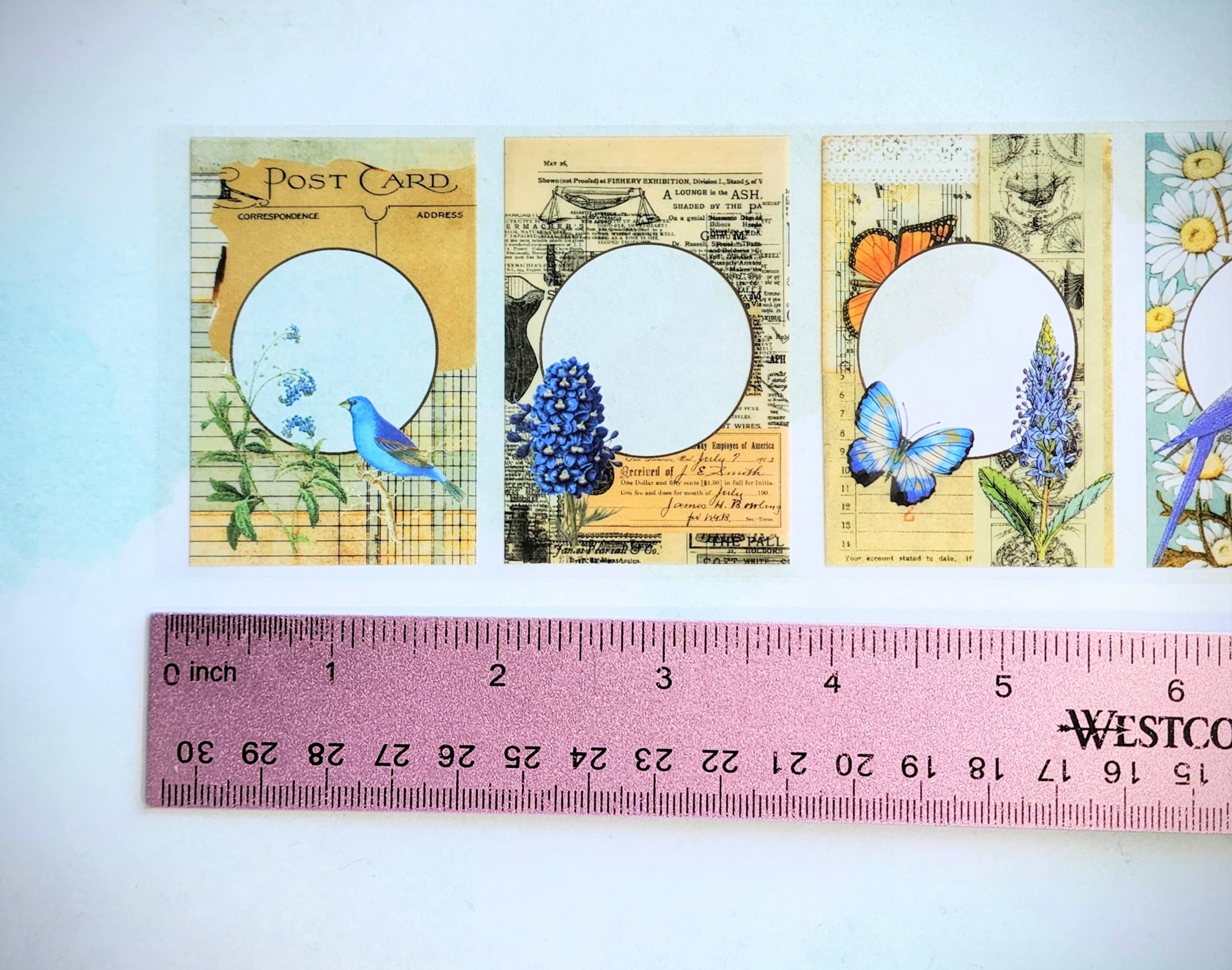 Transparent Plastic Collage Style Frames With Botanicals Birds ...
