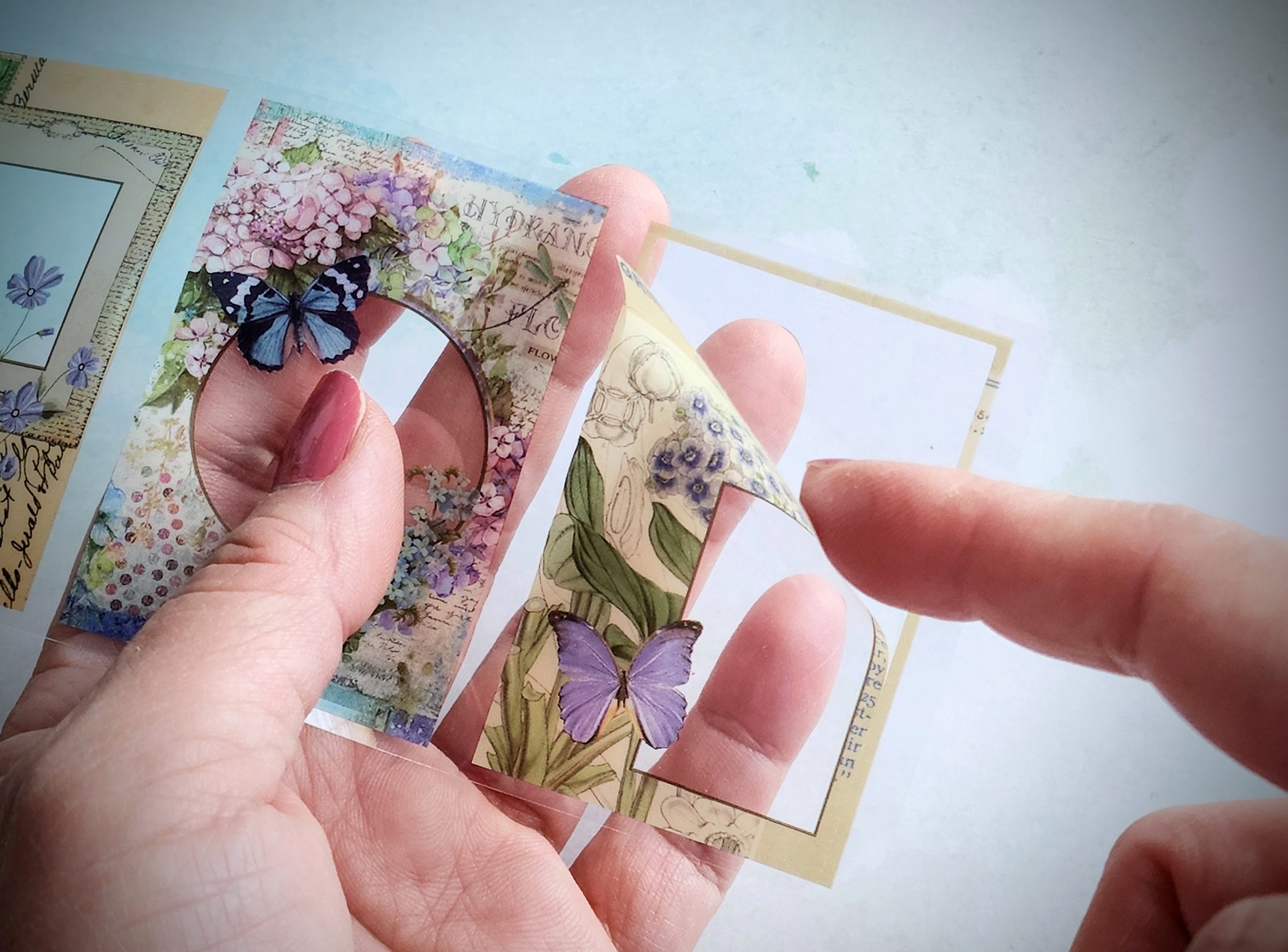 Transparent Plastic Collage Style Frames With Botanicals Birds ...