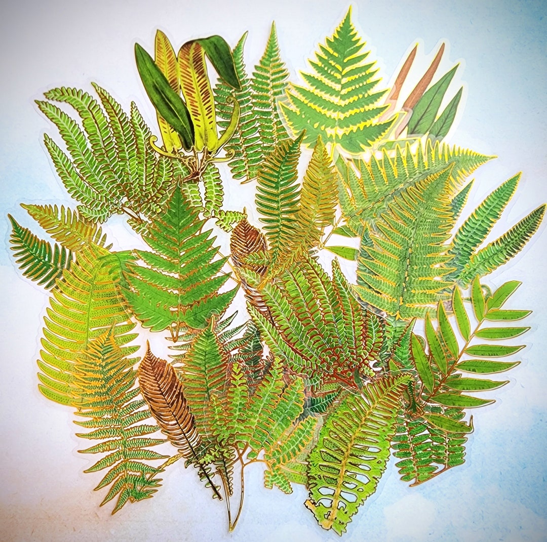 Clear Plastic Fern Stickers Set With Gold Accent for Collage Journals ...