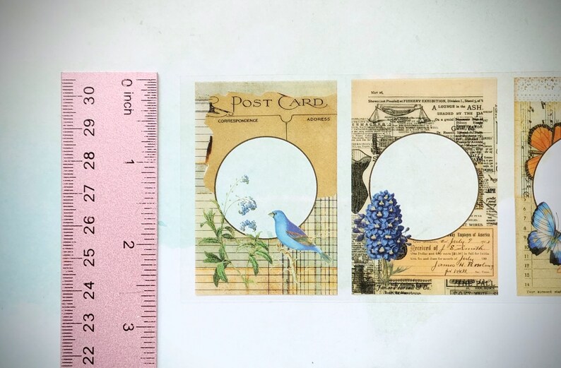 Transparent Plastic Collage Style Frames With Botanicals Birds ...