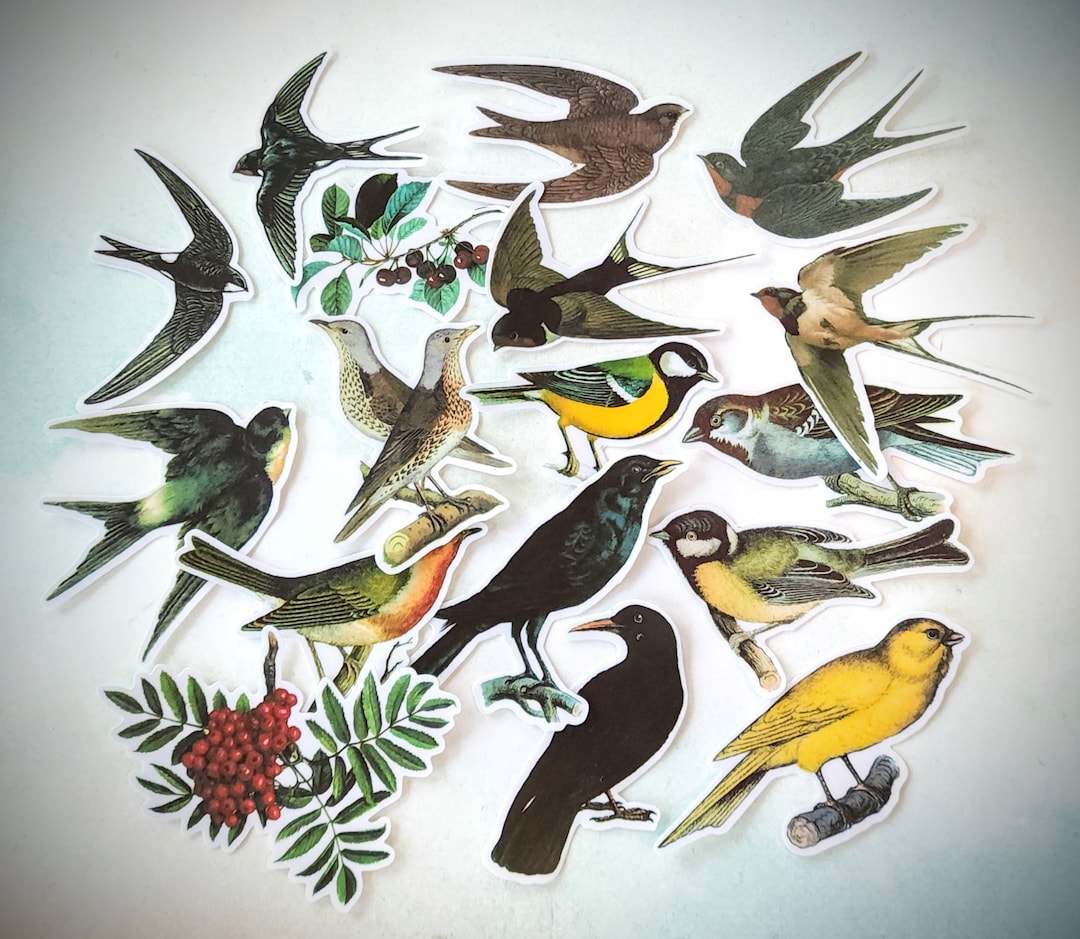 Vintage Style Variety Birds Sticker Set 16 Pcs for Planners Cards ...