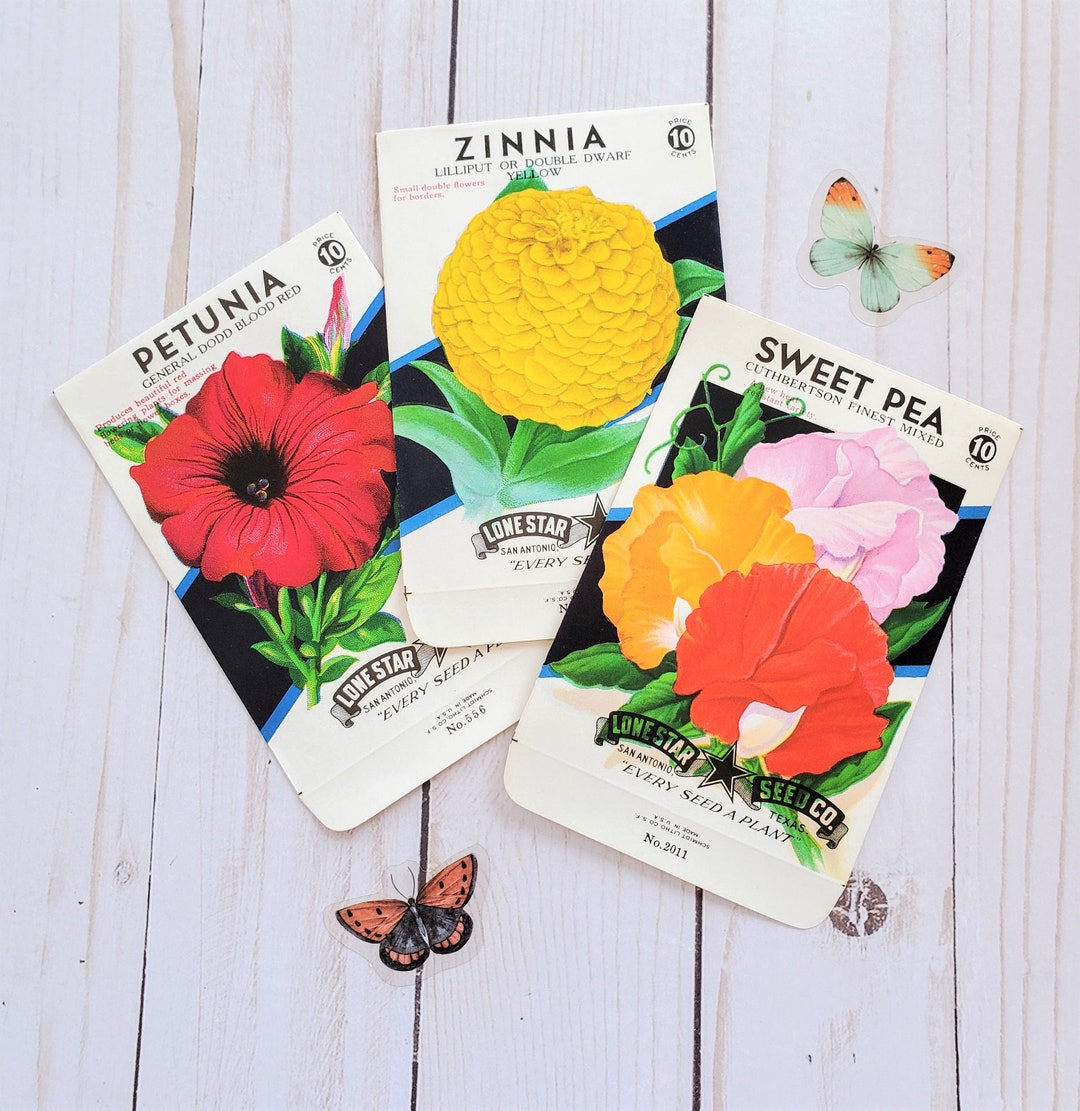 Empty Vintage Flowers Seed Packet Set of 3 Unused From Lone Star Seed ...