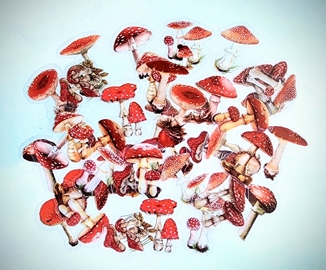 Clear Plastic Red Mushroom Stickers Set 40 Pcs About 1 1/2" Tall for ...