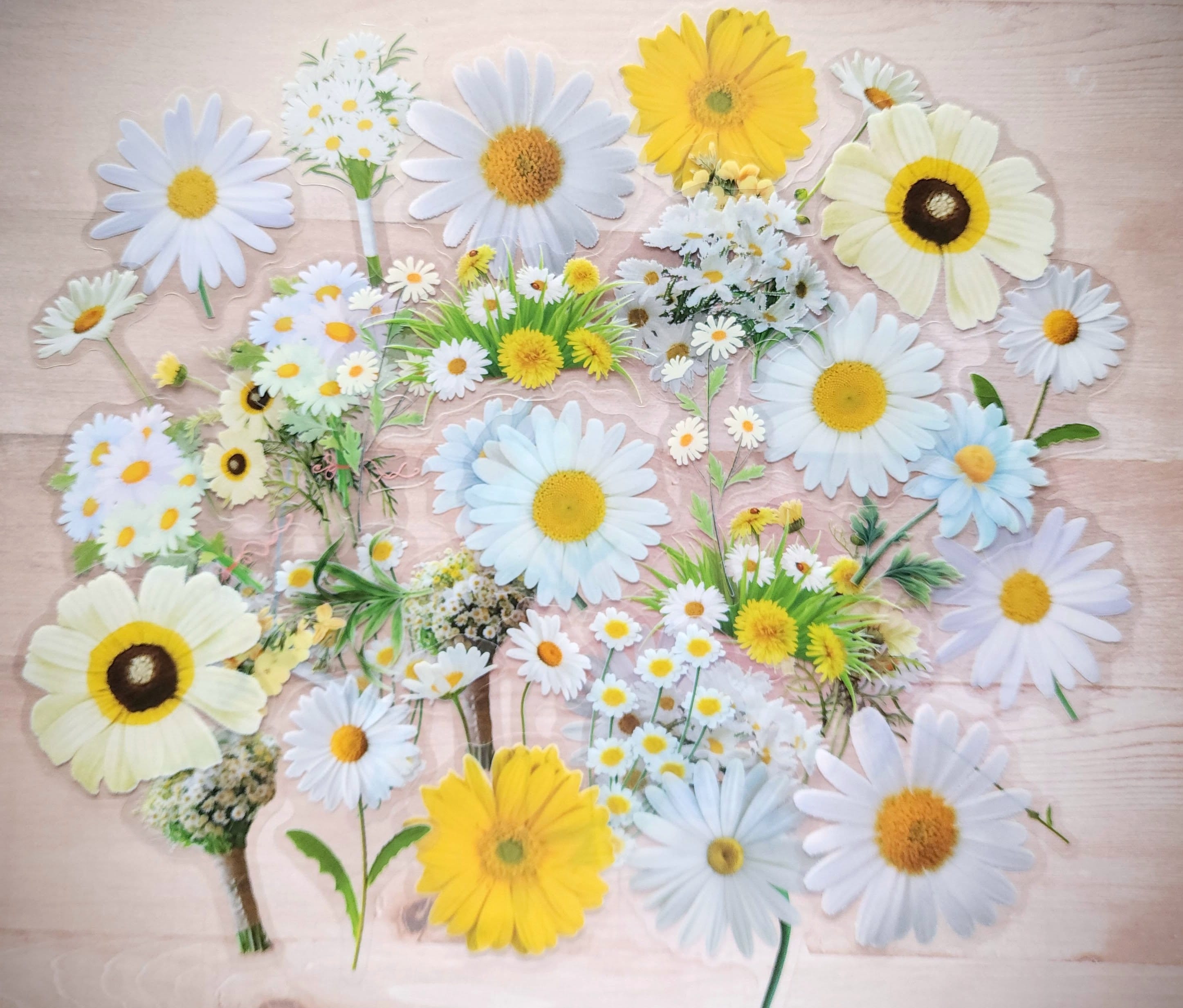 Transparent Daisy Chain Tumblr
