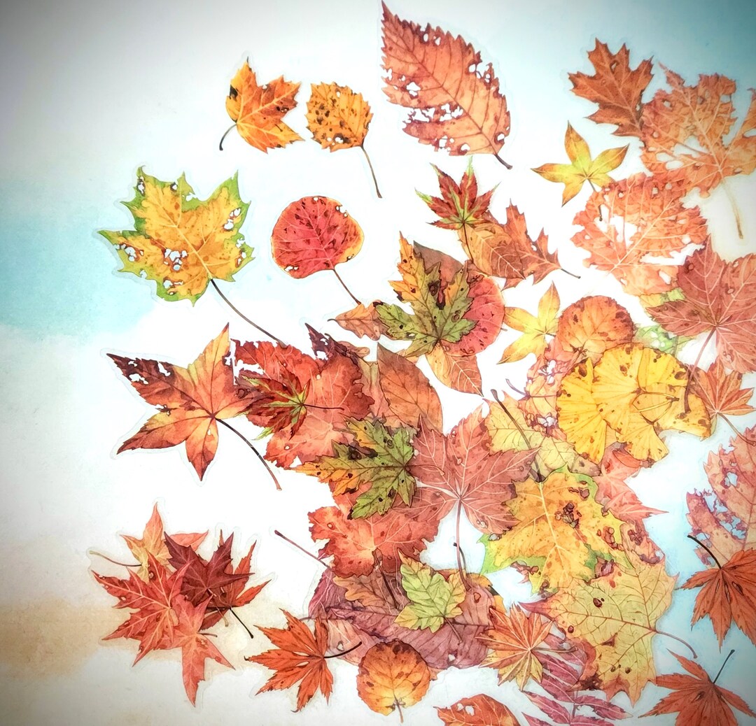 Clear Plastic Fall Leaves Stickers With Weathered Look for Cards ...