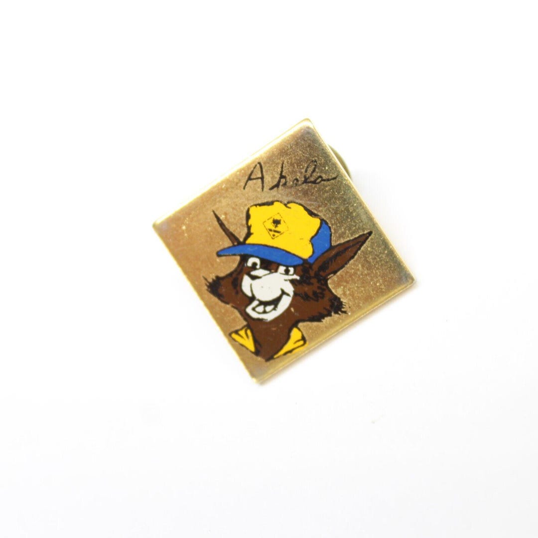 BSA Boy Scouts America Vintage Cub Scout Akela Pin Lapel Enamel ...