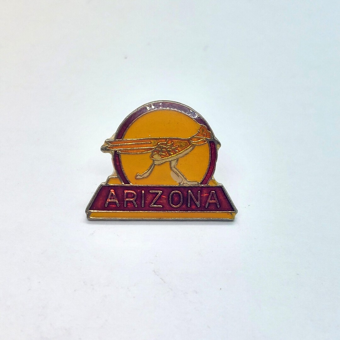 Vintage Arizona Roadrunner Desert Bird Sunset Souvenir Enamel Lapel Pin ...