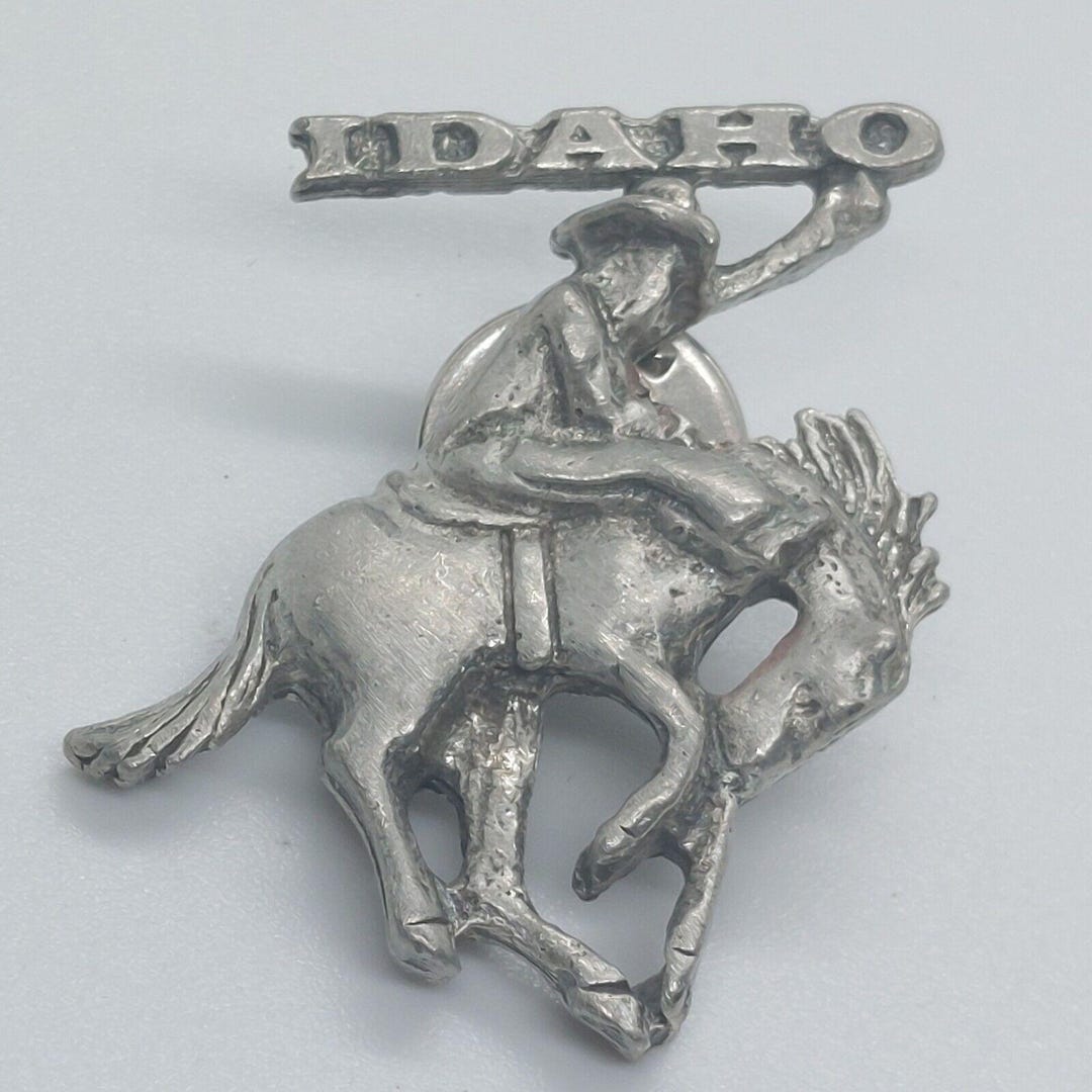 IDAHO Cowboy Rodeo Pin Bucking Horse Lapel Enamel Collectible - Etsy