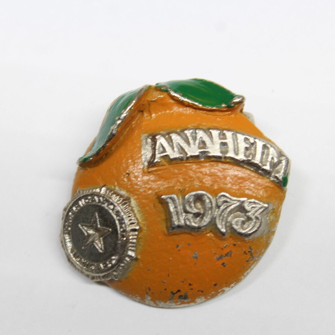 Anaheim 1973 American Legion Auxiliary Pin Lapel Enamel Collectible - Etsy