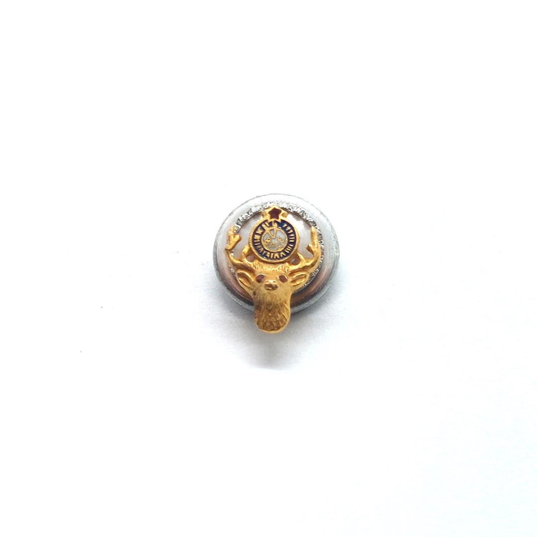 BPOE Elks Head Pin Gold Antlers Fraternal Organization Collectible ...