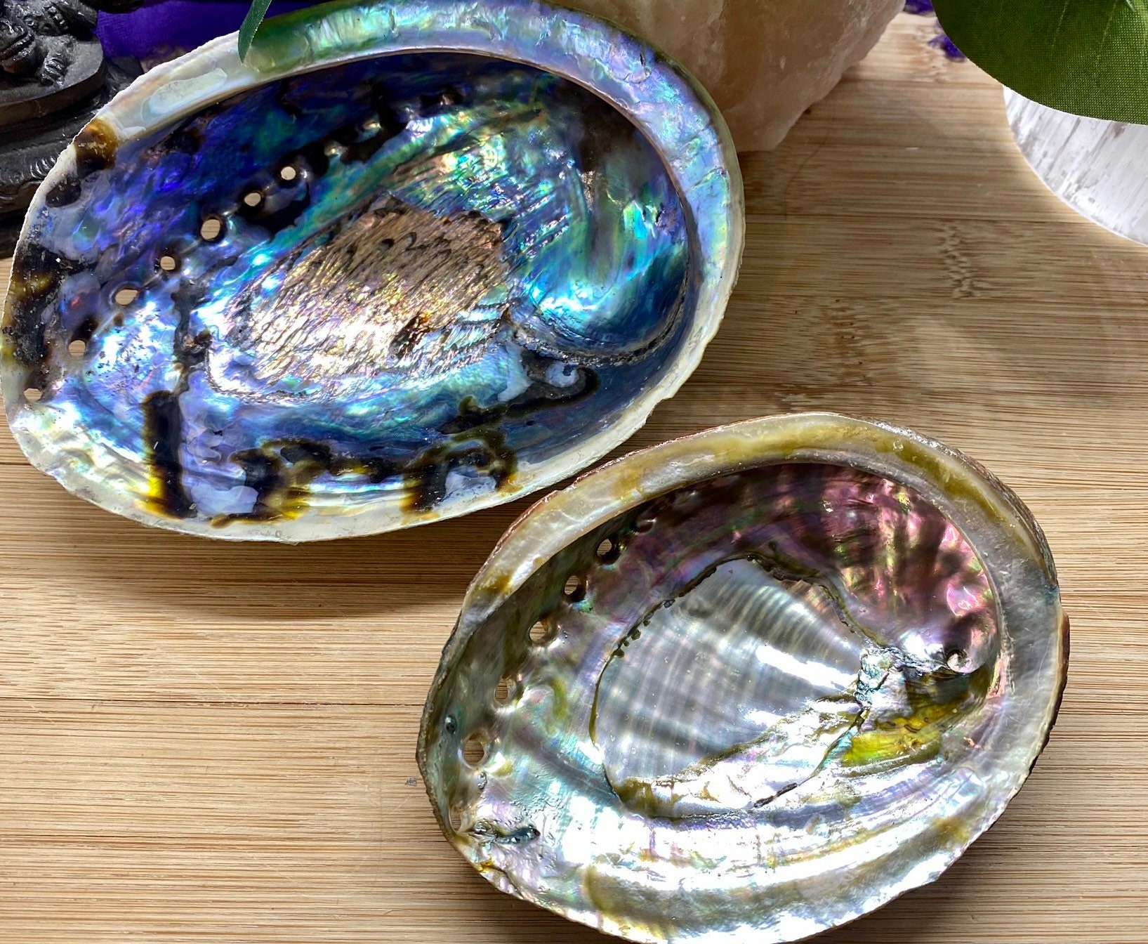 Abalone shell smudge pot bowl seashell