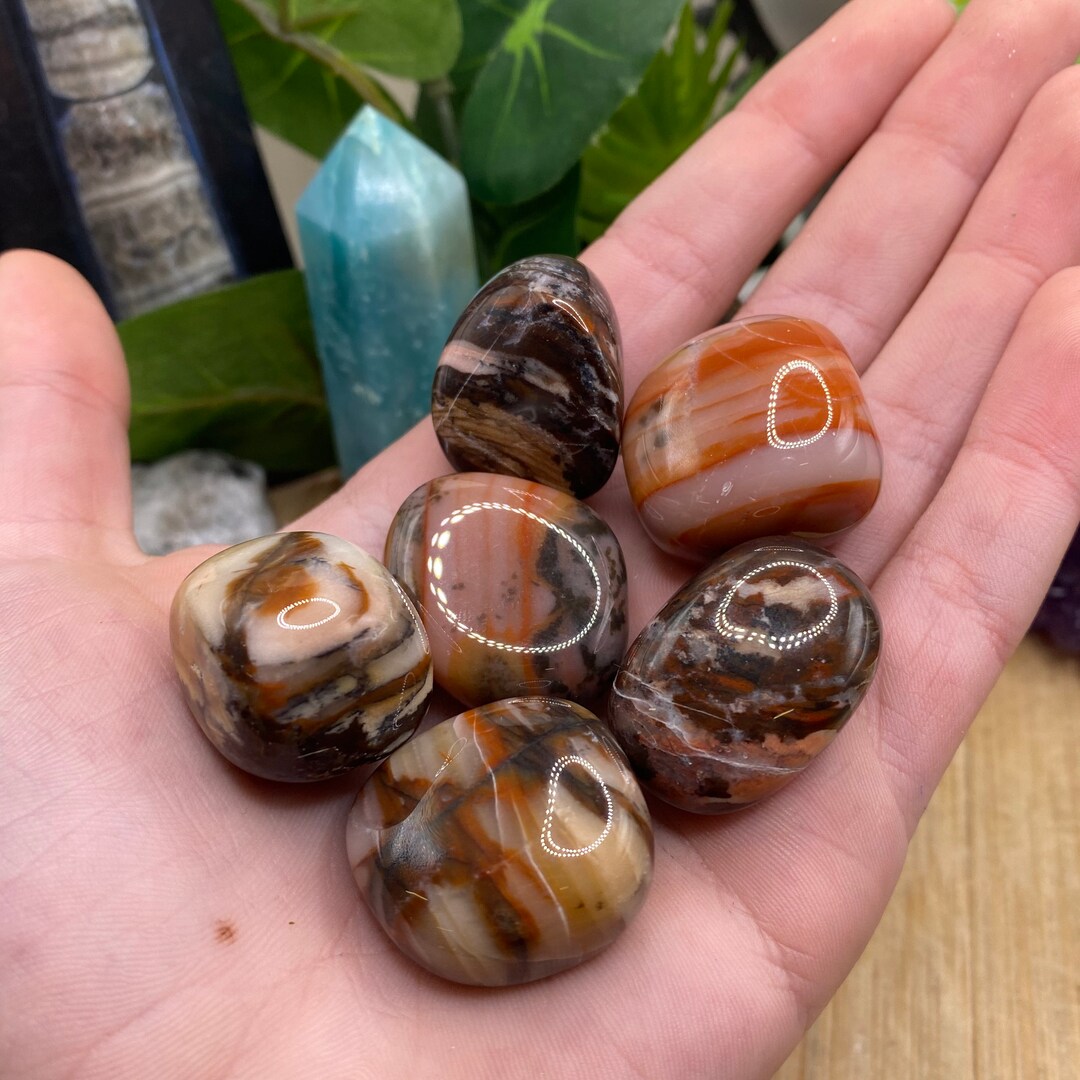 Tumbled Bamboo Leaf Agate Stone With Gift Bag and Note - Etsy