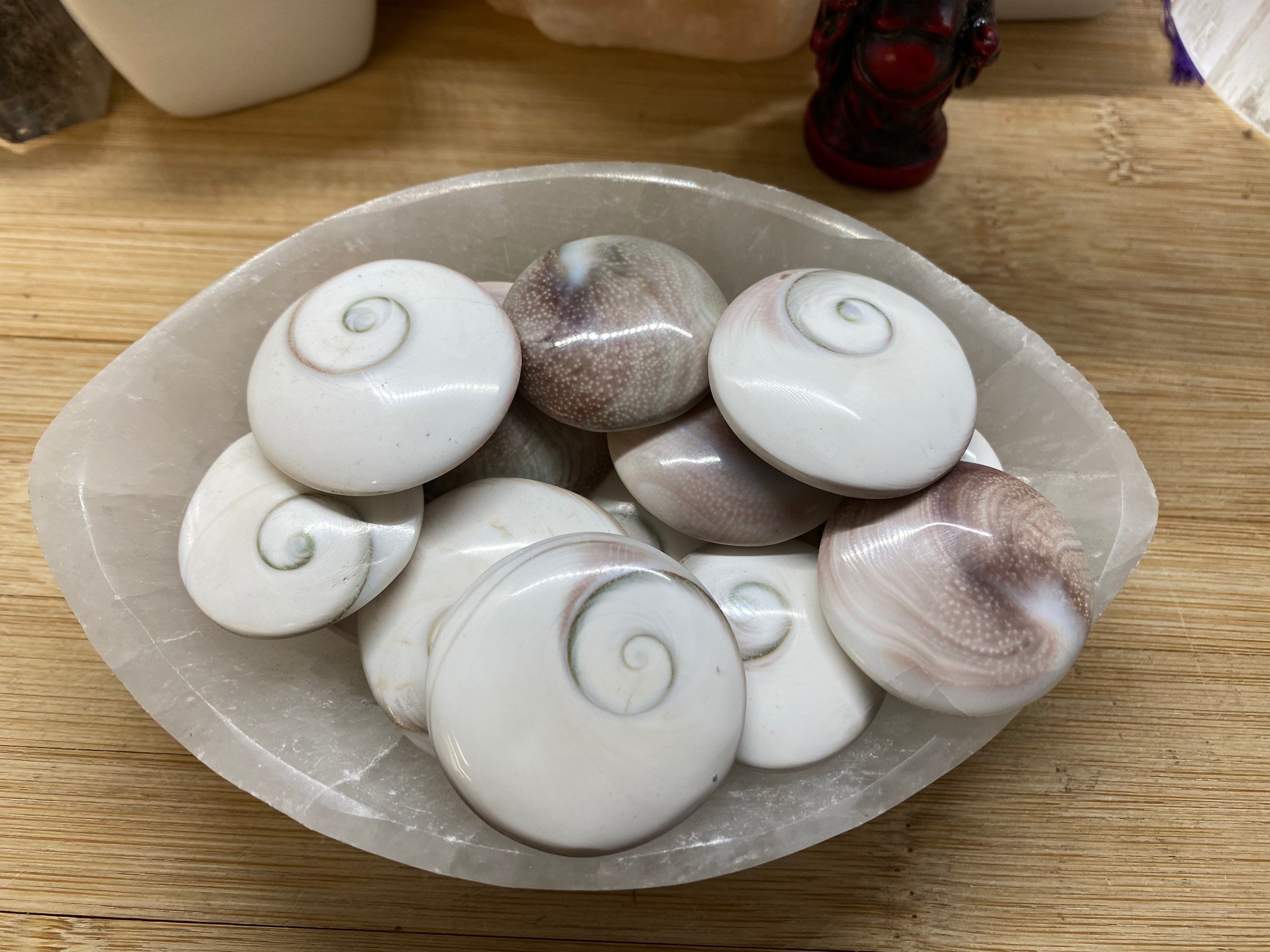 Round Shivas Eye shell seashell crystal lord shiva