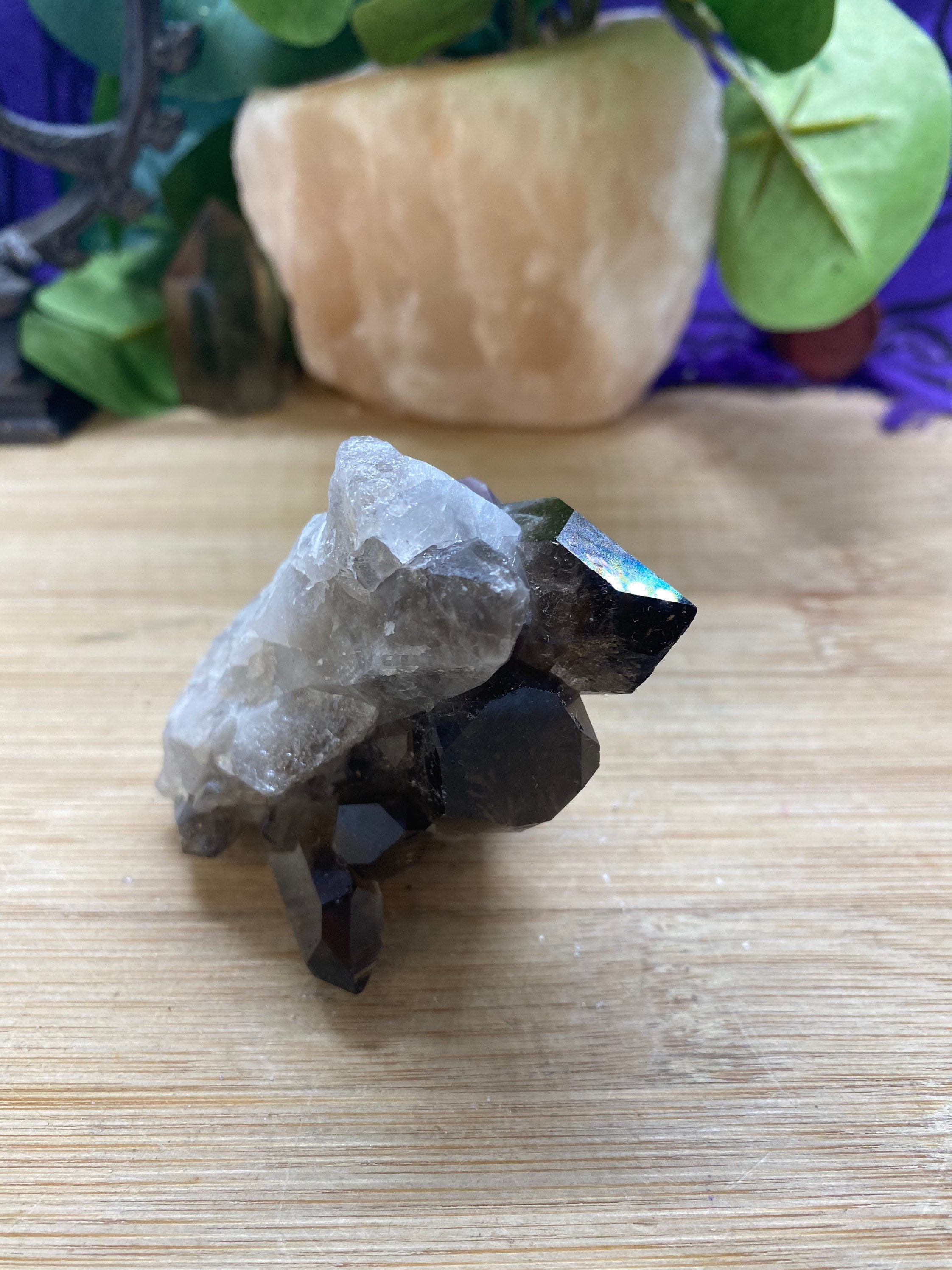 Natural Smoky Quartz Crystal point cluster geode Druse SMO1