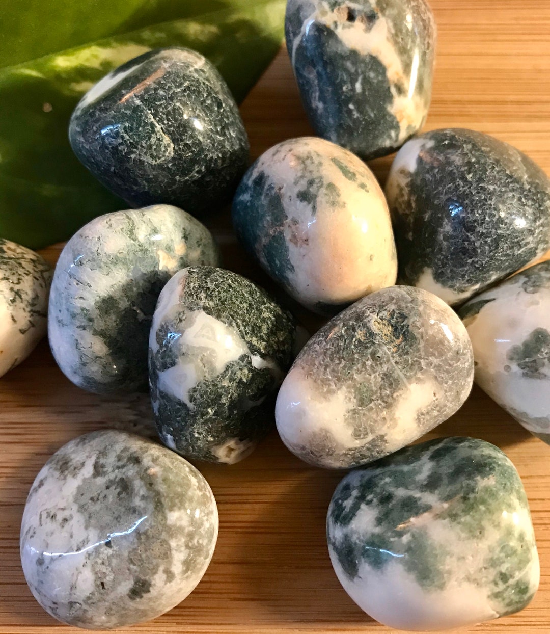 Tumbled Tree Dendritic Agate Stone With Gift Bag and Note - Etsy