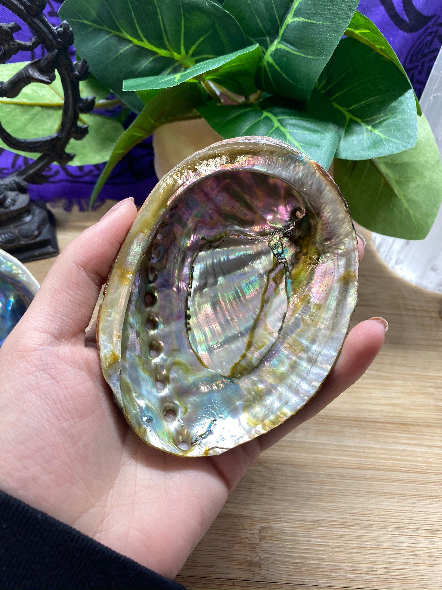 Abalone shell smudge pot bowl seashell