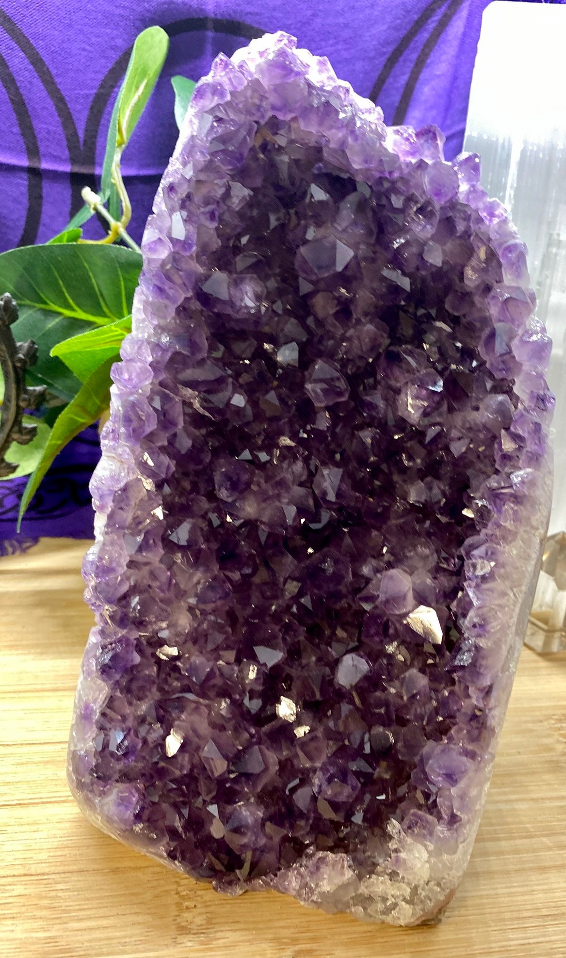 Polished Amethyst from Brazil crystal cluster geode BgAm1 Shelf 1