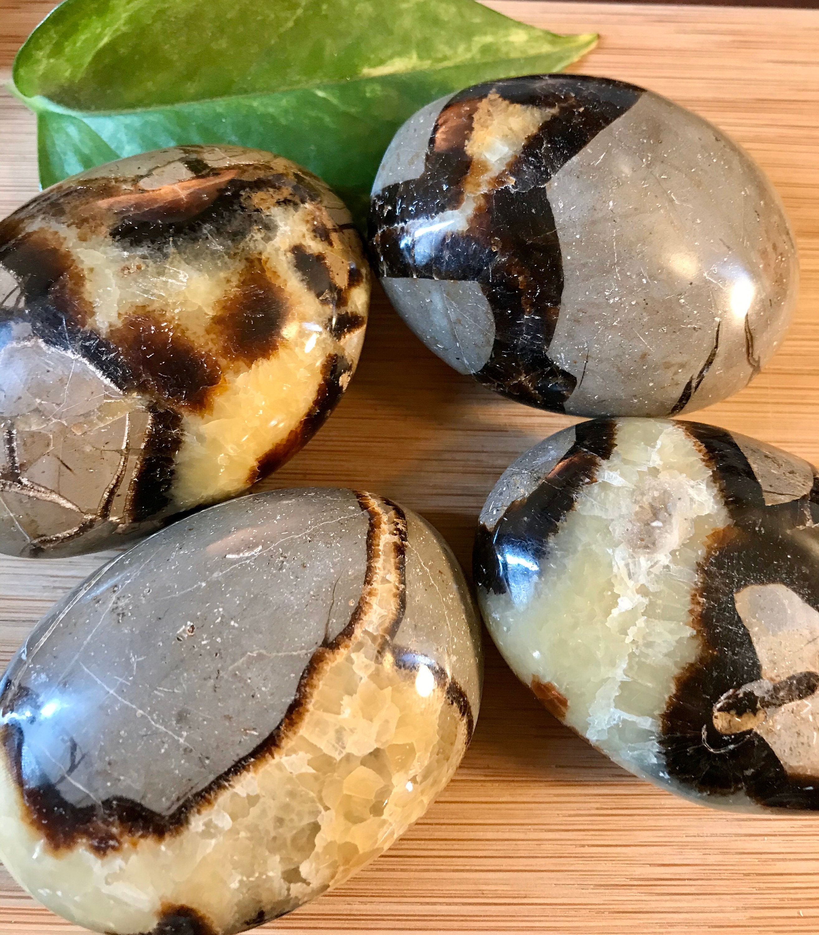 Gorgeous Septarian crystal geode cluster palm stone