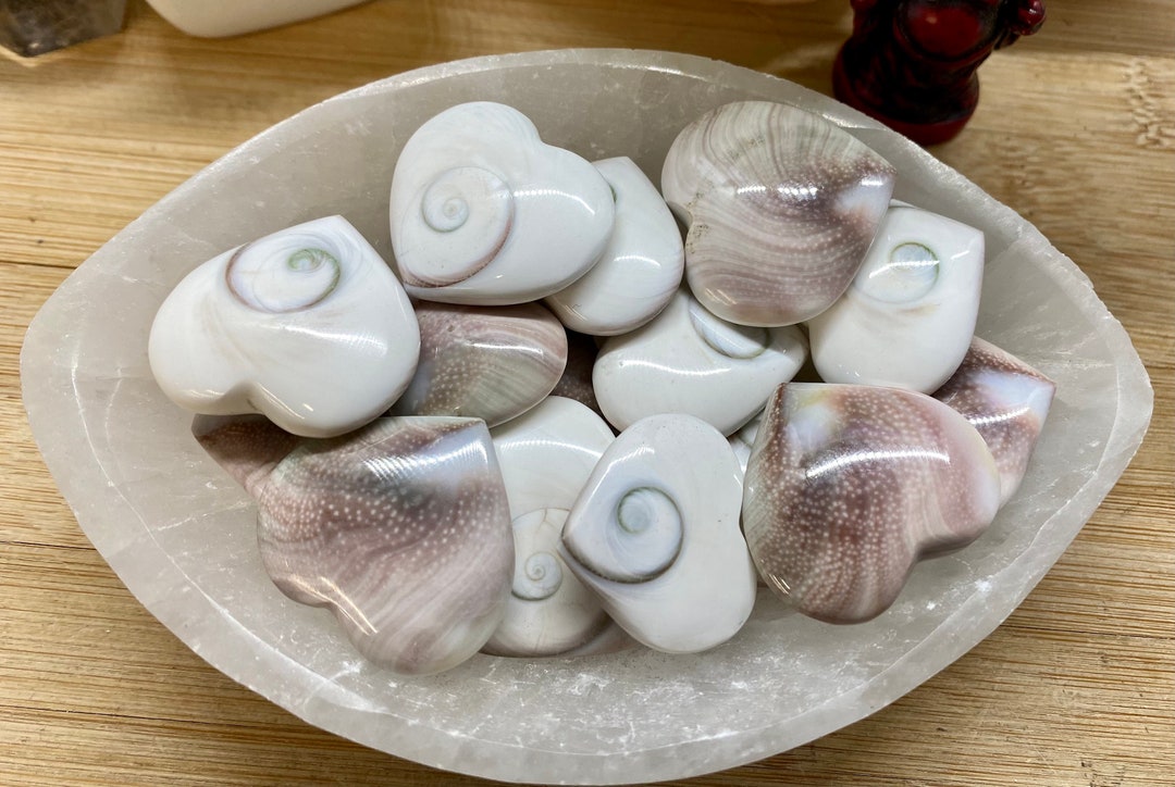 Heart Shivas Eye Shell Seashell Crystal Lord Shiva - Etsy