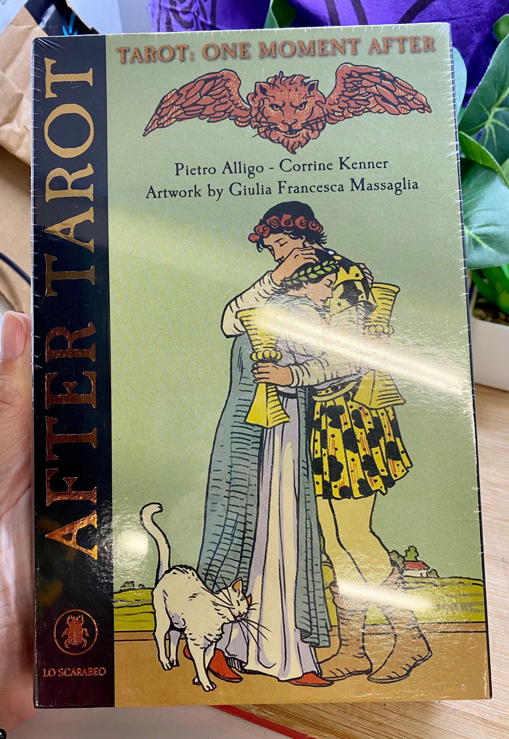 After Tarot deck and book
