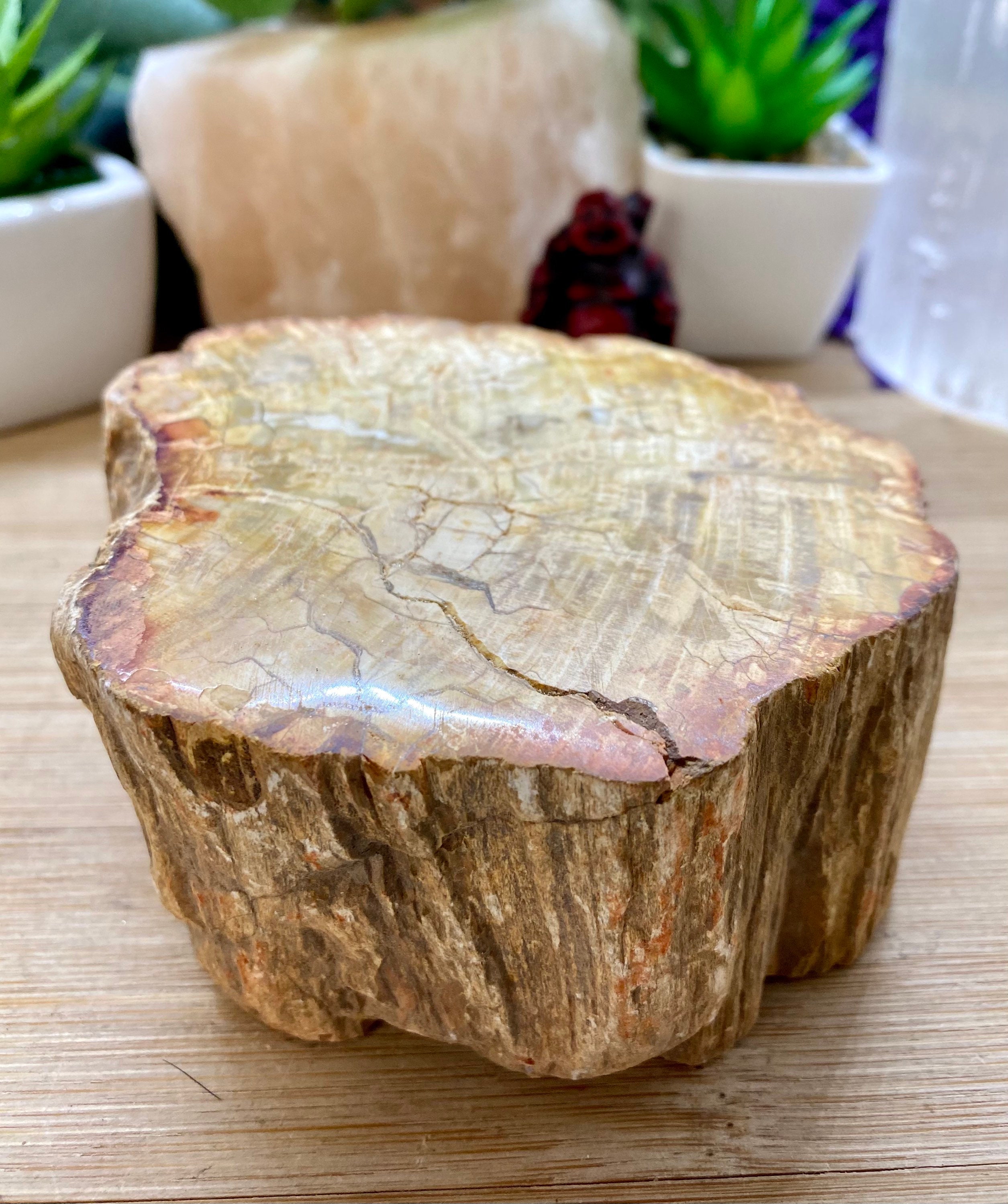 Natural Petrified Wood trunk crystal Stone LOG3