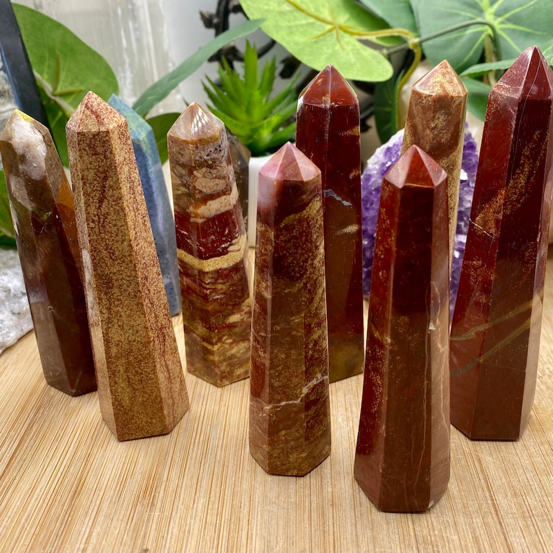 Petrified Wood - Etsy