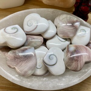 Heart Shivas Eye Shell Seashell Crystal Lord Shiva - Etsy