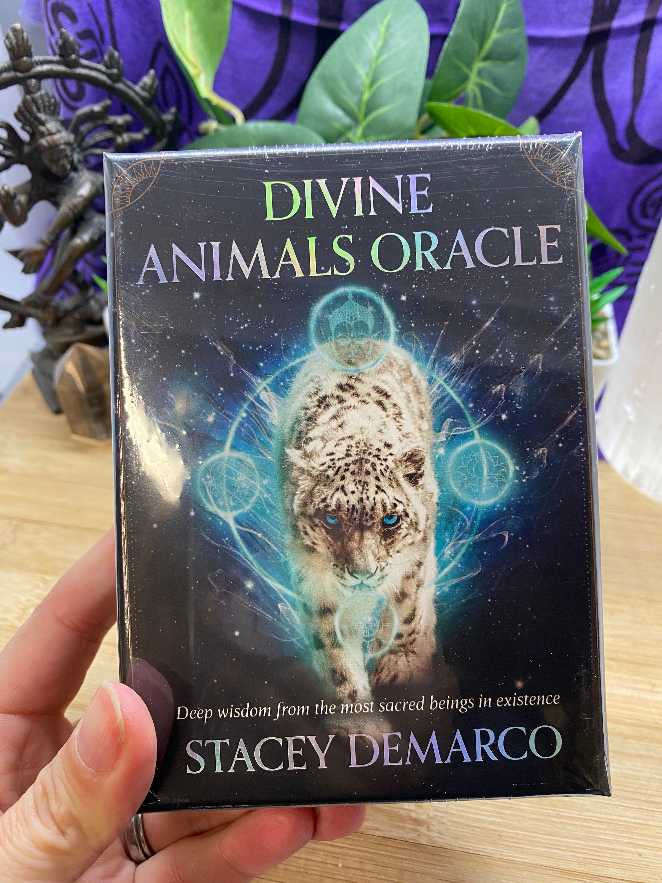 Divine Animals oracle by Stacey Demarco