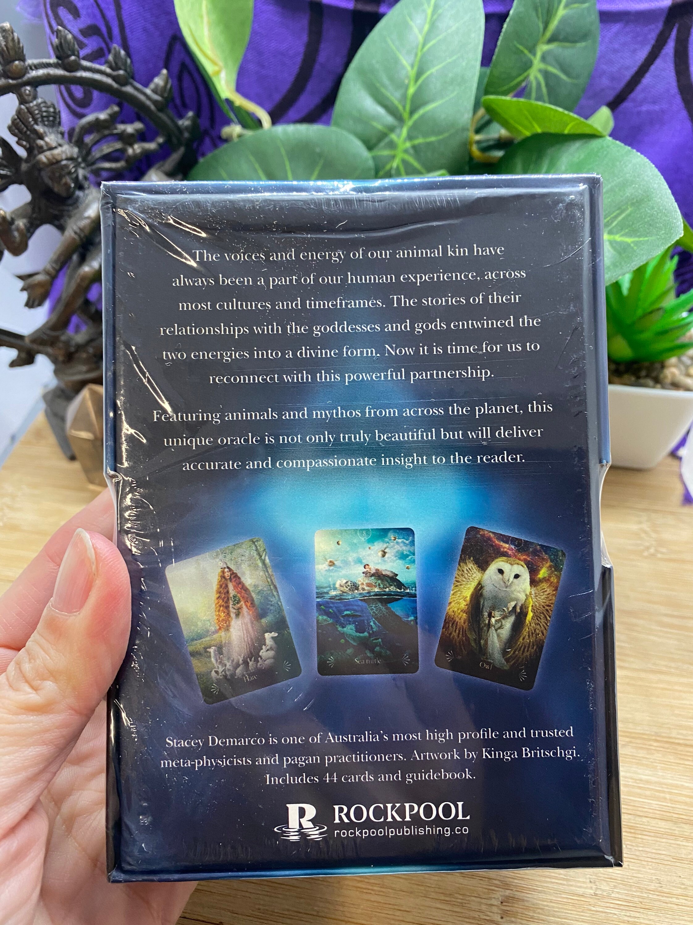 Divine Animals oracle by Stacey Demarco