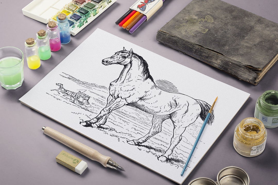 1900s Collection of 16 Harrison Weir Vintage Illustrations - Etsy