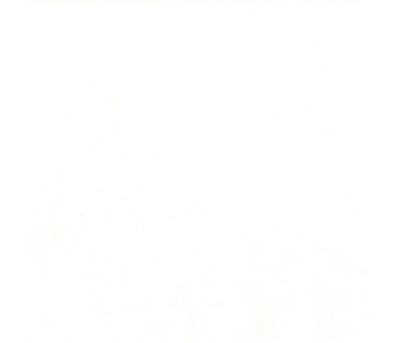 Bright White Solid From the Michael Miller Cotton Couture | Etsy