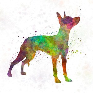 Xoloitzcuintle in Watercolor 8x10 In. to 12x16 In. Fine Art Print ...