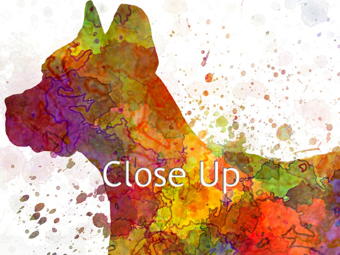 Spanish Alano 01 in Watercolor 8x10 In. to 12x16 In. Fine Art | Etsy